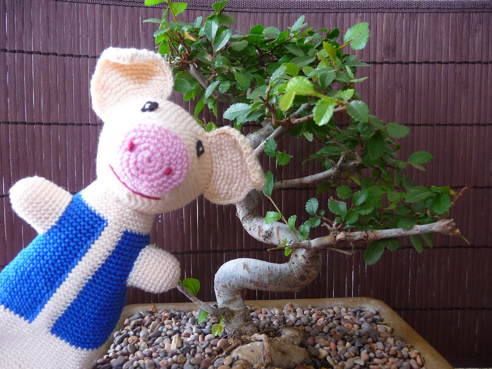 Mancita: Amigurumi - Carlitos Lechuga