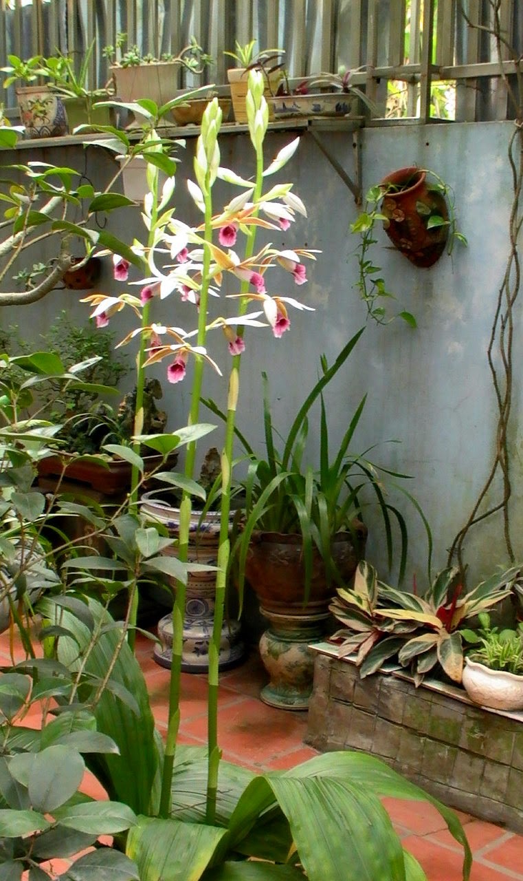 Giao lưu và học hỏi