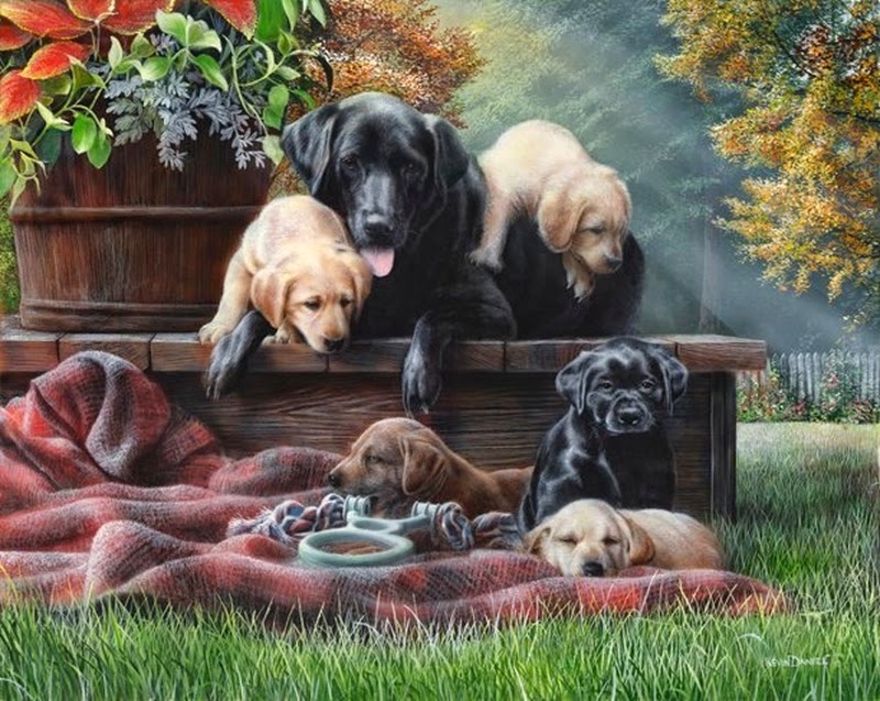 D.W.C. Animals Life - Painter Kevin Daniel - DANCE WITH COLORS