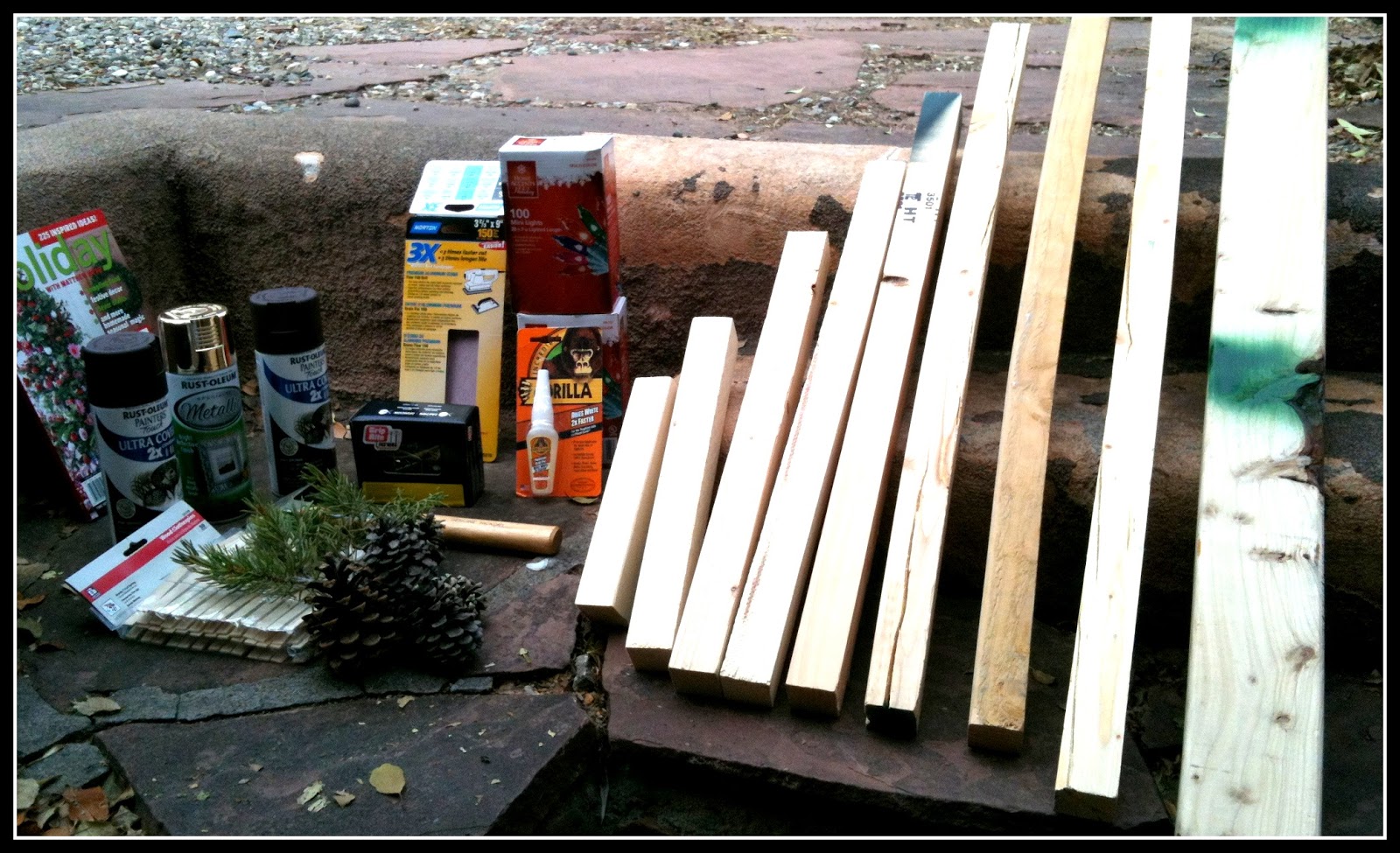 Love Your Space: "I never thought it was such a bad little tree. It's ...