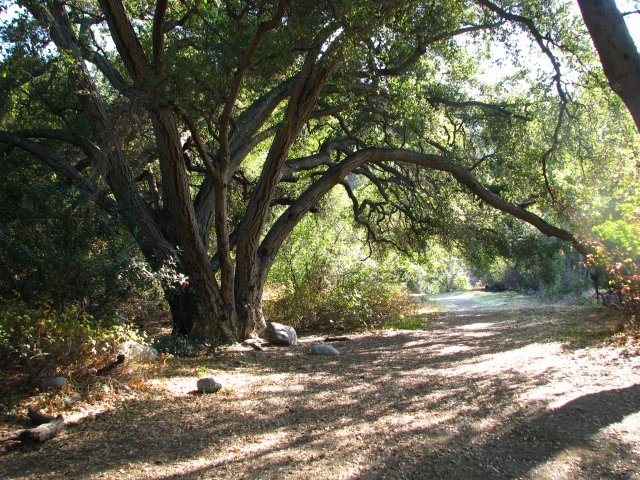 Take A Hike!: Hike In Eaton Canyon - Altadena, CA