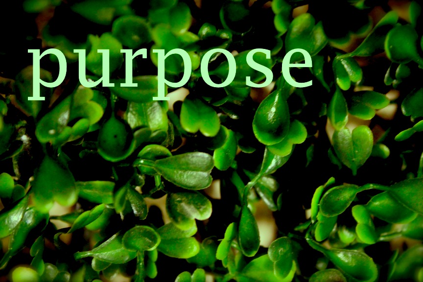 The Writing and Art of Andrew Thornton: Weekly Word: Purpose...