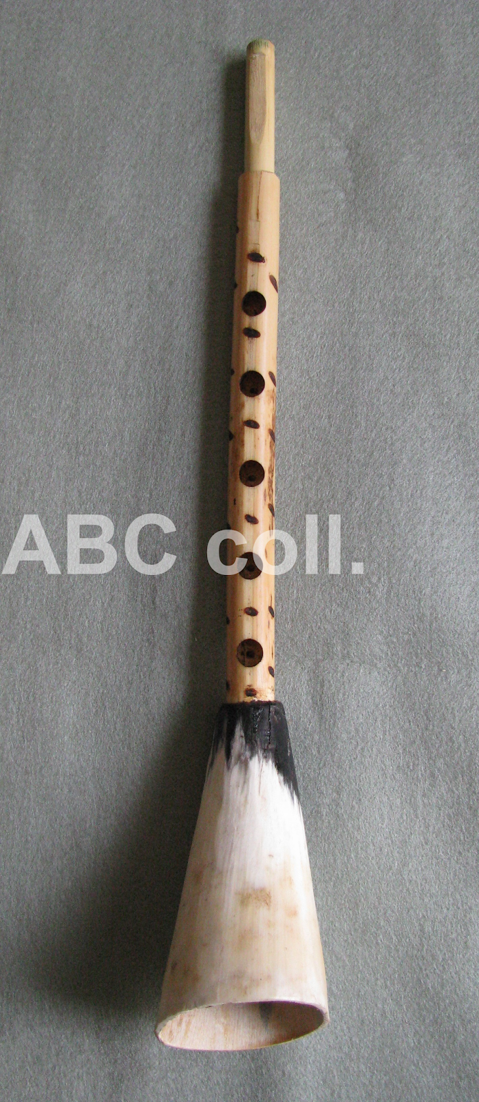 The Anna Borg Cardona Music Museum: HORNPIPE/QRAJNA