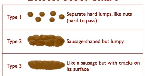 Feses : Indikator Kesehatan Saluran Cerna - Terapi Sehat : Info ...