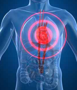 FATIGUE : HEART DISEASE SYMPTOMS:Medical and Disease Books