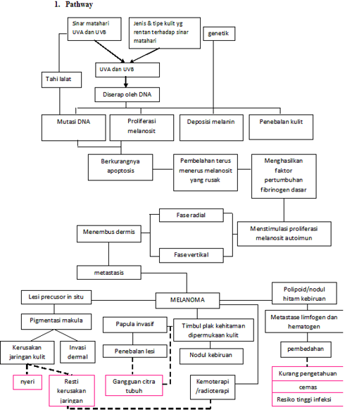 CARACA'S PATHWAY: pathway/pohon masalah/woc Ca kulit melanoma