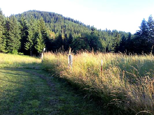 High Prairie Farmgirl: Hay and Bucking Bales