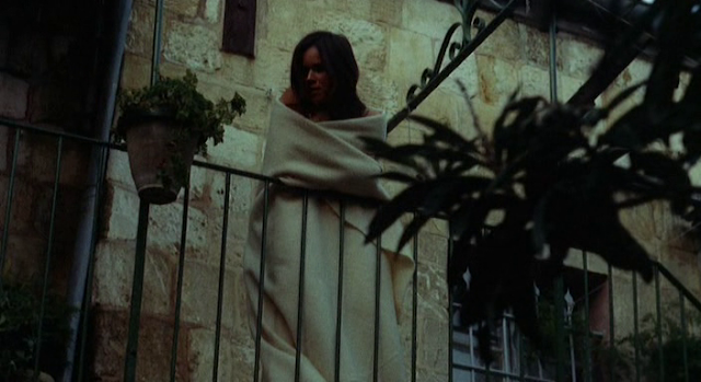 Zebradelic: Barbara Seagull in Diamonds