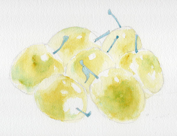 Stoneflower: Seven Plums - watercolour demonstration