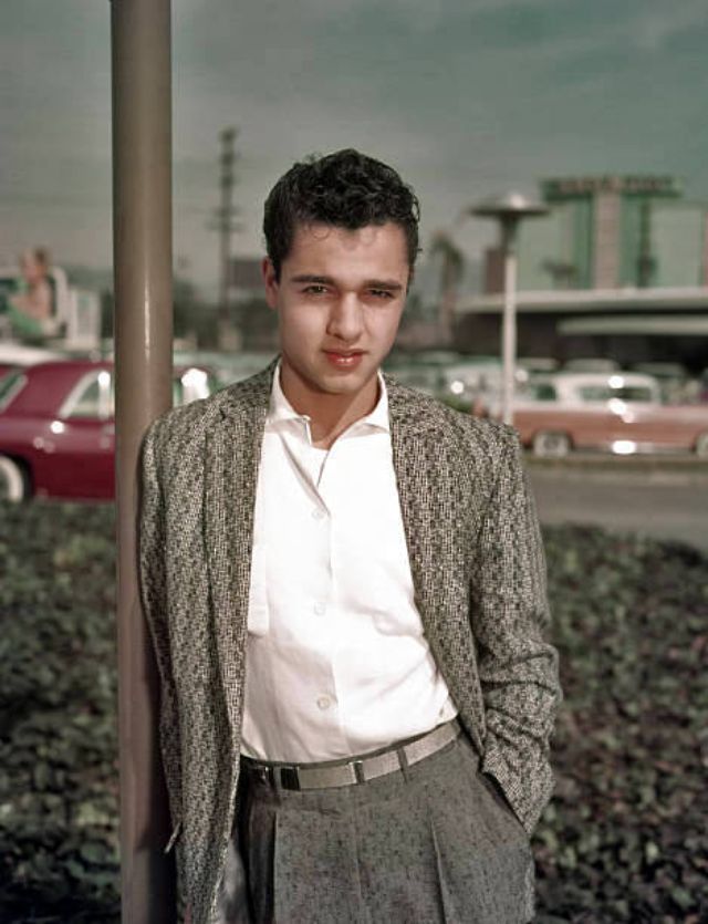 Sal Mineo: Classic Cultural Icon of the Late 1950s But Tragic Life ...