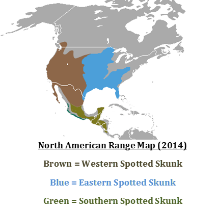 Spotted Skunk Blog: 2015