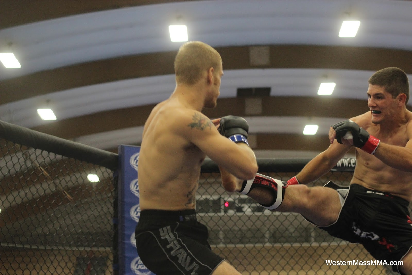 WesternMassMMA.com News, Reviews, Videos, Previews: BONE MMA I 8/30 ...