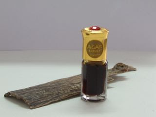 Budidaya gaharu di Bogor: Minyak Gaharu: Mahal, Mistis, dan Spritual