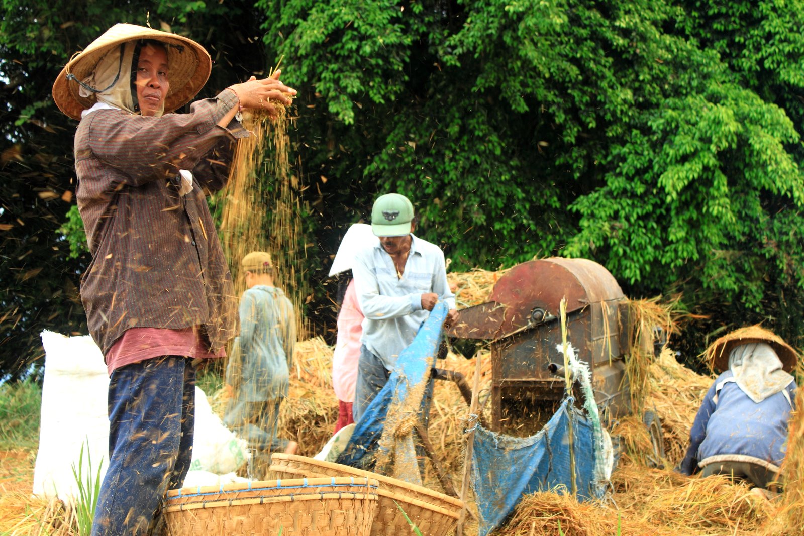 Indra Putra Photography