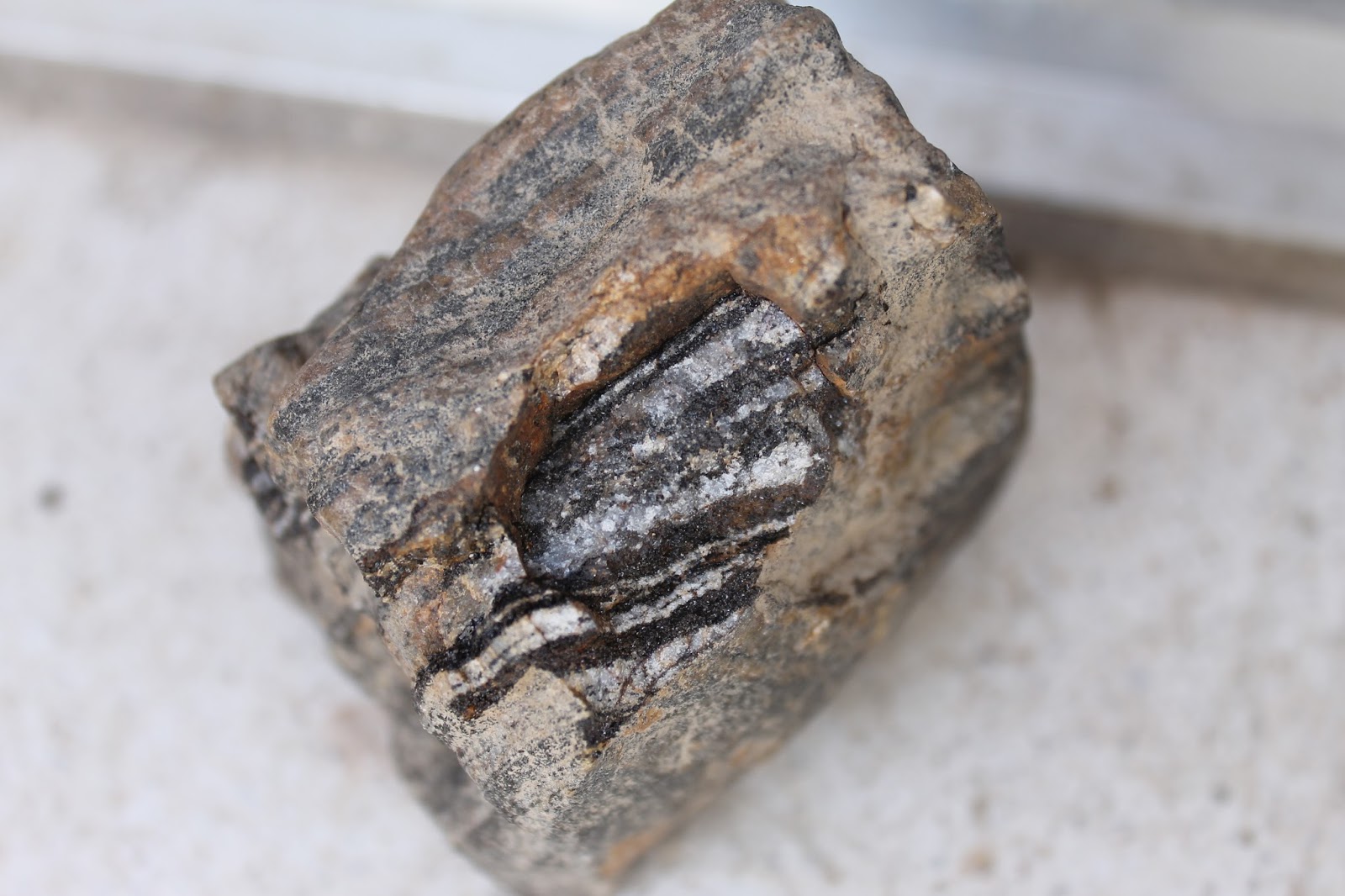 Cáceres al natural: ESQUISTO CON TURMALINA