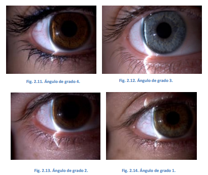 TUTORÍAS EN OPTOMETRÍA