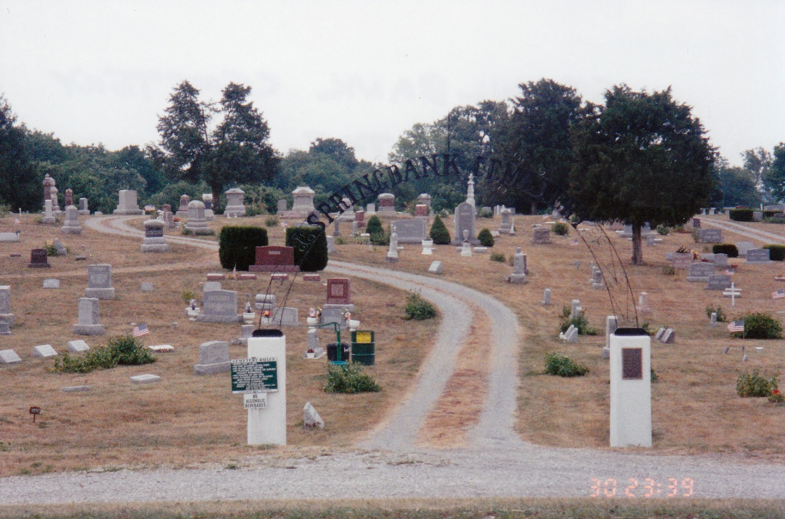 Del's Genealogy Ramblings: WDYTYA--Tricia Yearwood; Springbank Cemetery ...