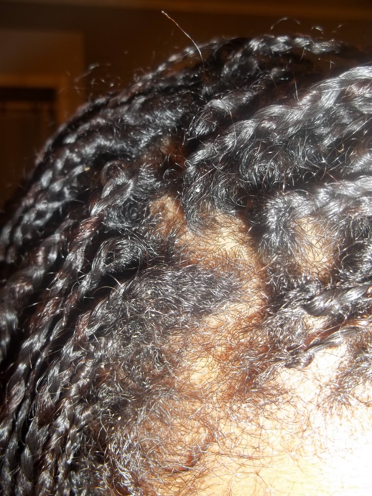 Naturally Mimi: Return of the Box Braids