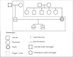 Keperawatan BM: gambar genogram pengkajian keperawatan keluarga