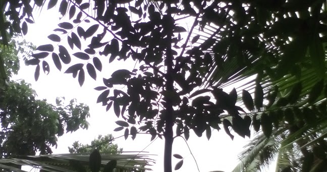 Kirigalpoththa: Kaluwara and Kalumediriya