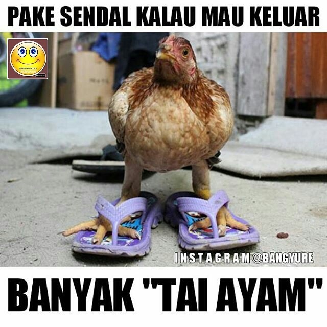 Meme Lucu 2023 bikin Nyengir2 Sendiri - Gambar Lucu Terbaru