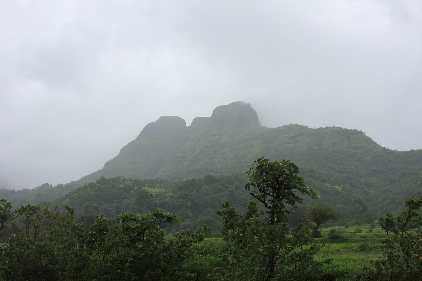 SURPRISES AT SINDOLA FORT ~ Monsoon Trekker
