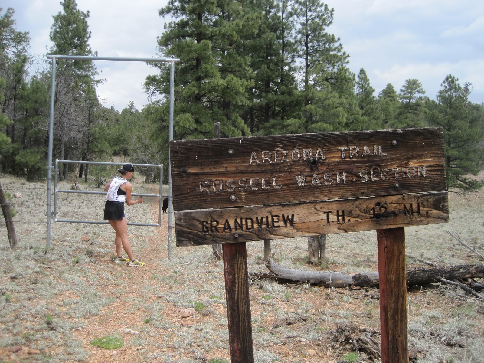 Flagstaff to Grand Canyon Stagecoach Line 100 Mile Ultra and Relay