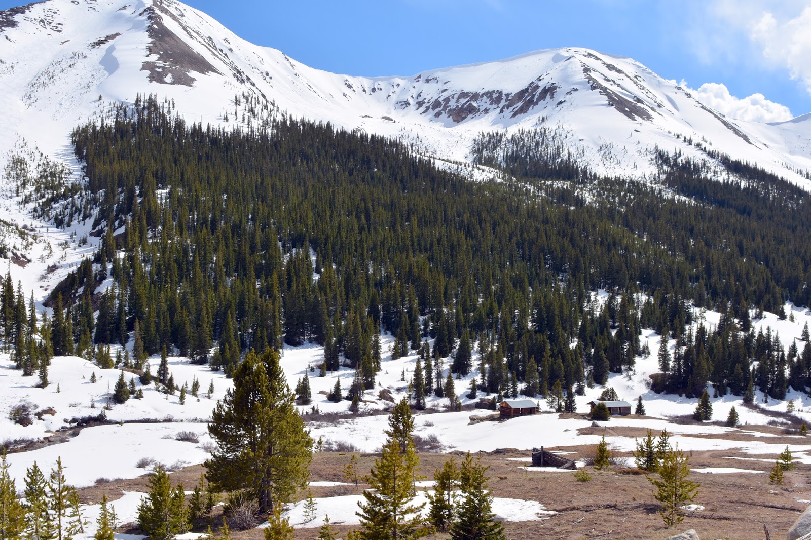 Mille Fiori Favoriti: Independence Pass, Colorado, Part Two