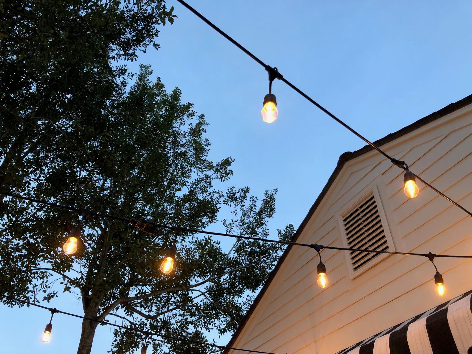 The Uptown Acorn: Vintage Cafe' String Lights