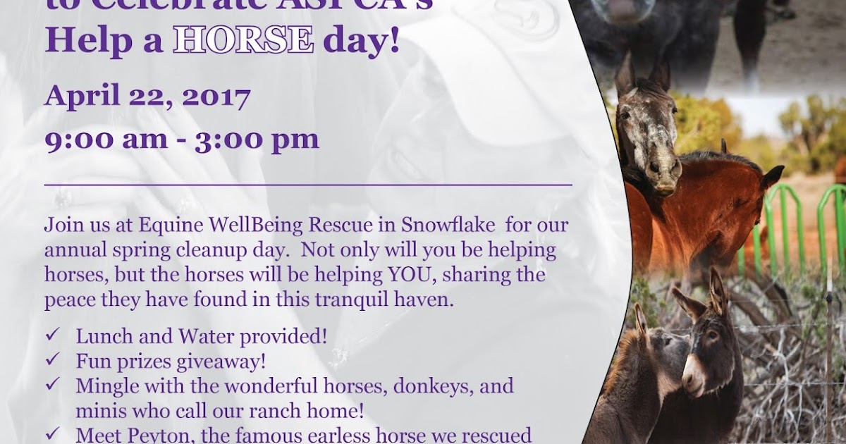 Equine WellBeing Rescue, Inc.: ASPCA Help a Horse Day 4-22-17