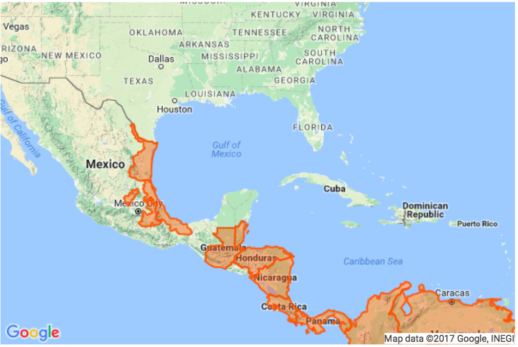 On People and Snakes: Bothrops asper: the lethal velvet