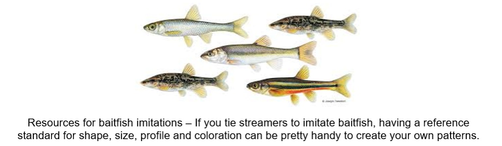 Flytying: New and Old: Fly Tying Tips and Tricks: Part 5