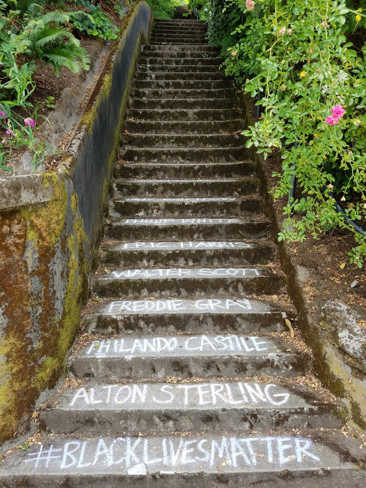 Dave Goes Outside: Portland Stairs Week: Day 1 - The Northwest Passage