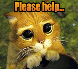 losers gonna lose - published by I n f o r m e r on day 2,132 - page 1 of 2