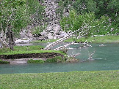 Swat Valley Pakistan: Beautiful Swat .Valley.Wallpapers