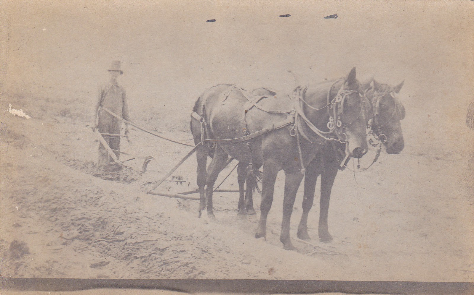 The Salt of America: Where Is Robert Eversole? – His Life, His Family ...