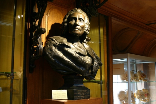 Un dermatólogo en el museo : Jean Astruc, gran figura médica del s. XVIII