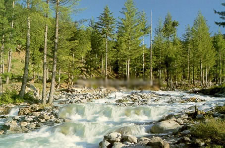 World Amazing Wallpapers: Kalash Valley Pakistan Wallpapers