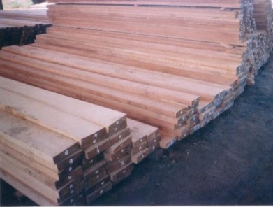 KAYU MERANTI MERAH - Kunci Sukses