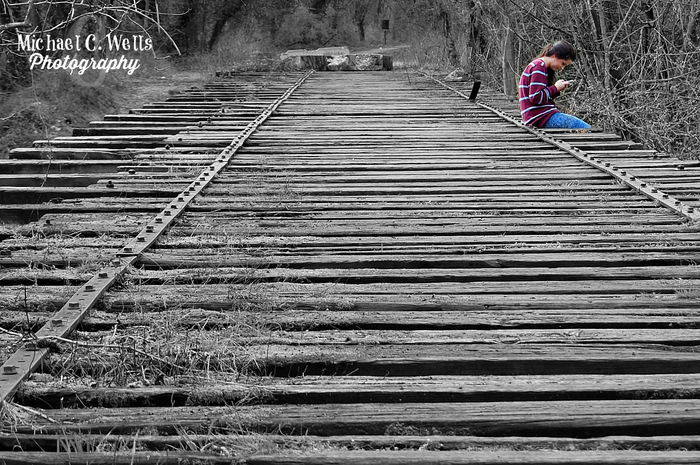 Abandoned Silver Creek Railroad Bridge