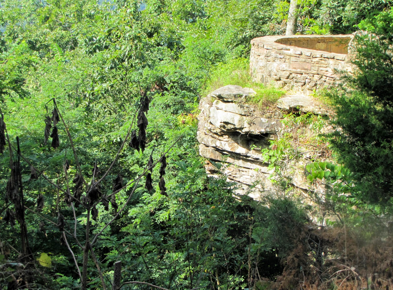 Monte Sano State Park, Huntsville, Alabama