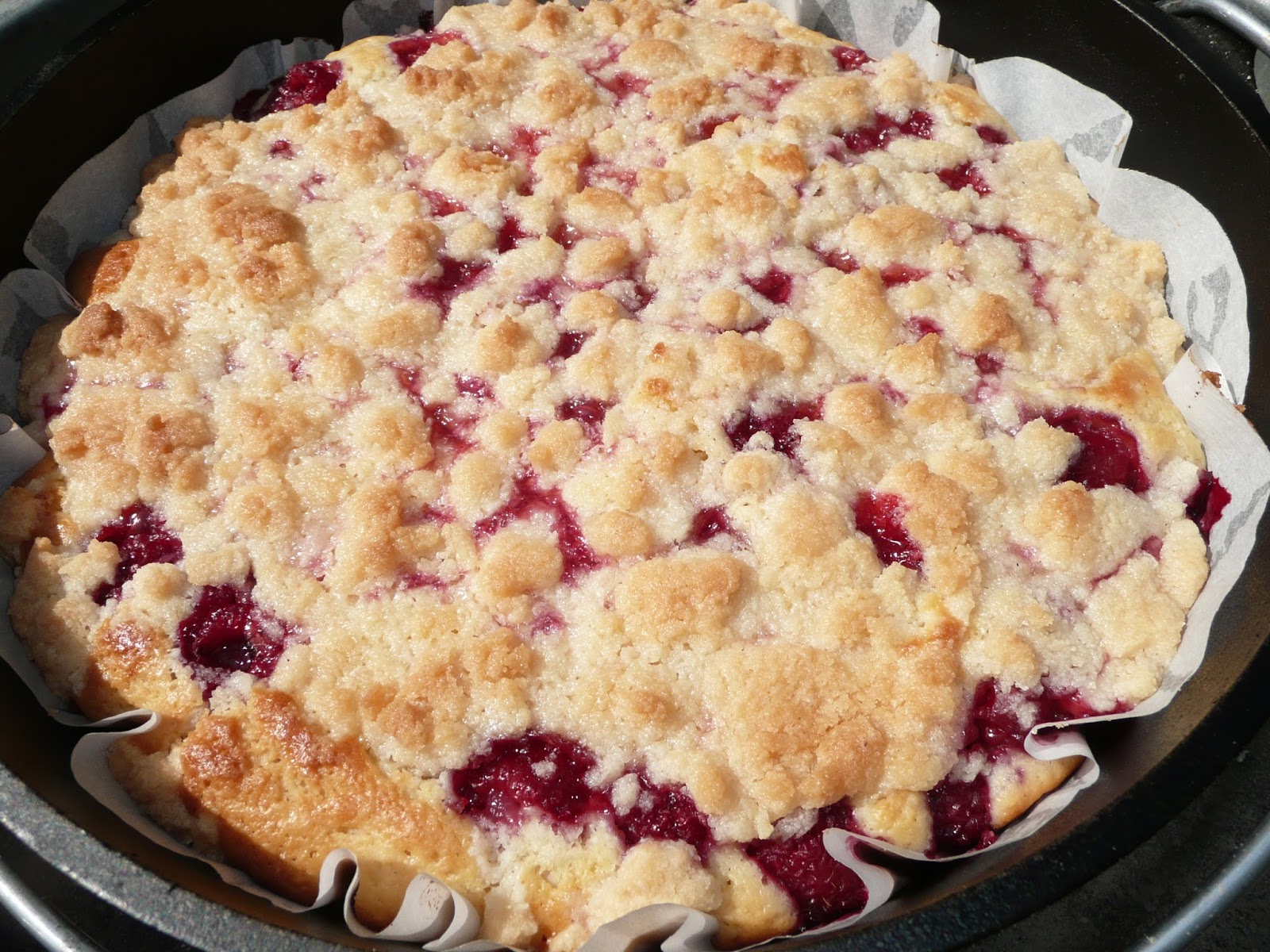 Everyday Dutch Oven: Fresh Raspberry-Sour Cream Crumb Cake