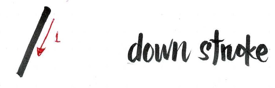 BRUSH CALLIGRAPHY 101 PART 4: BASIC STROKES EXPLAINED