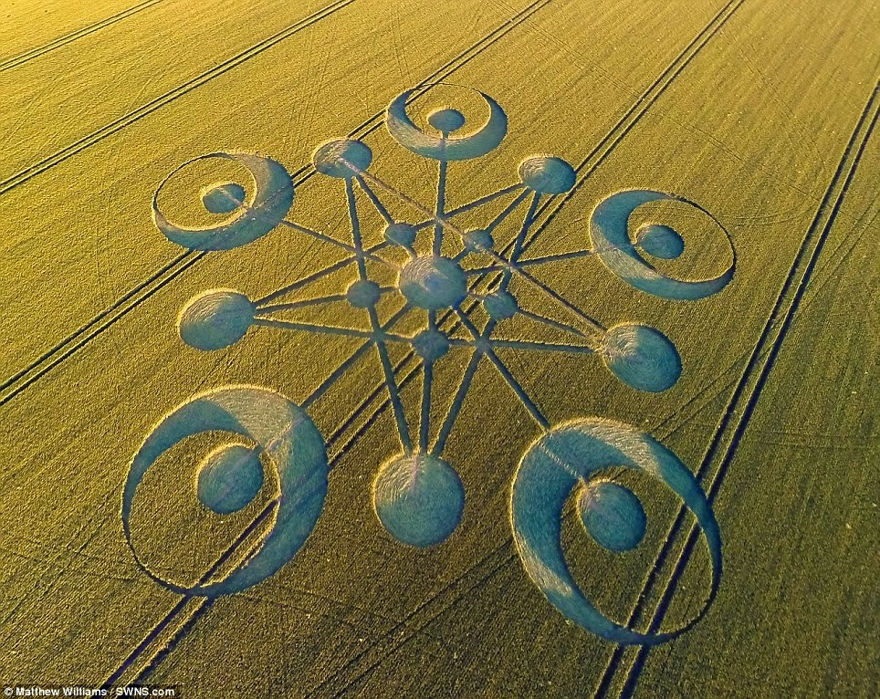 Phantoms & Monsters: Pulse of the Paranormal: Amazing Crop Circle ...