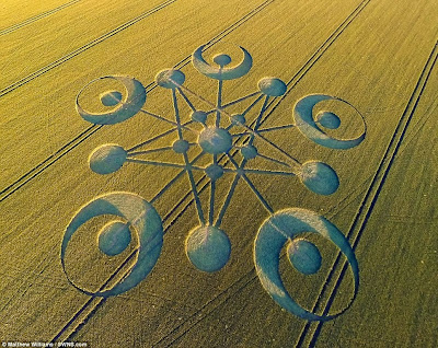 Phantoms and Monsters - Real Eyewitness Cryptid Encounter Reports