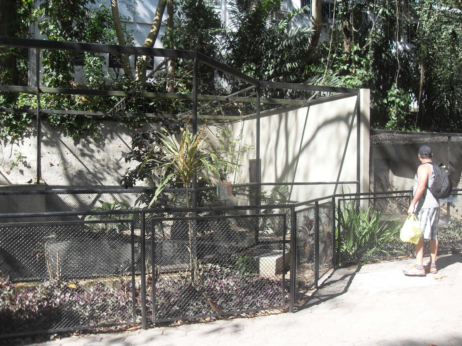 Guia Rio: RIOZOO - Fundação Jardim Zoológico da Cidade do Rio de Janeiro