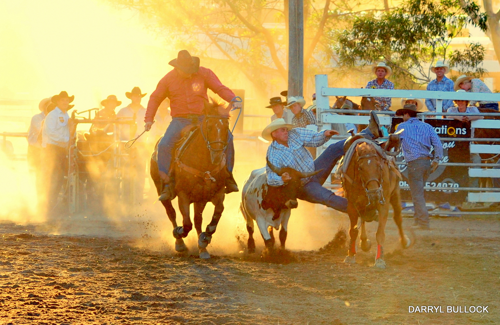Darryl Bullock Photography: WINGHAM RODEO
