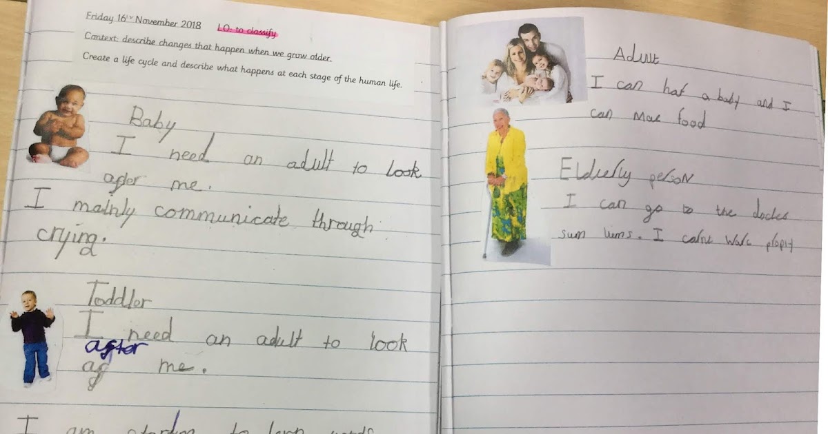 Windhill21: The human life cycle