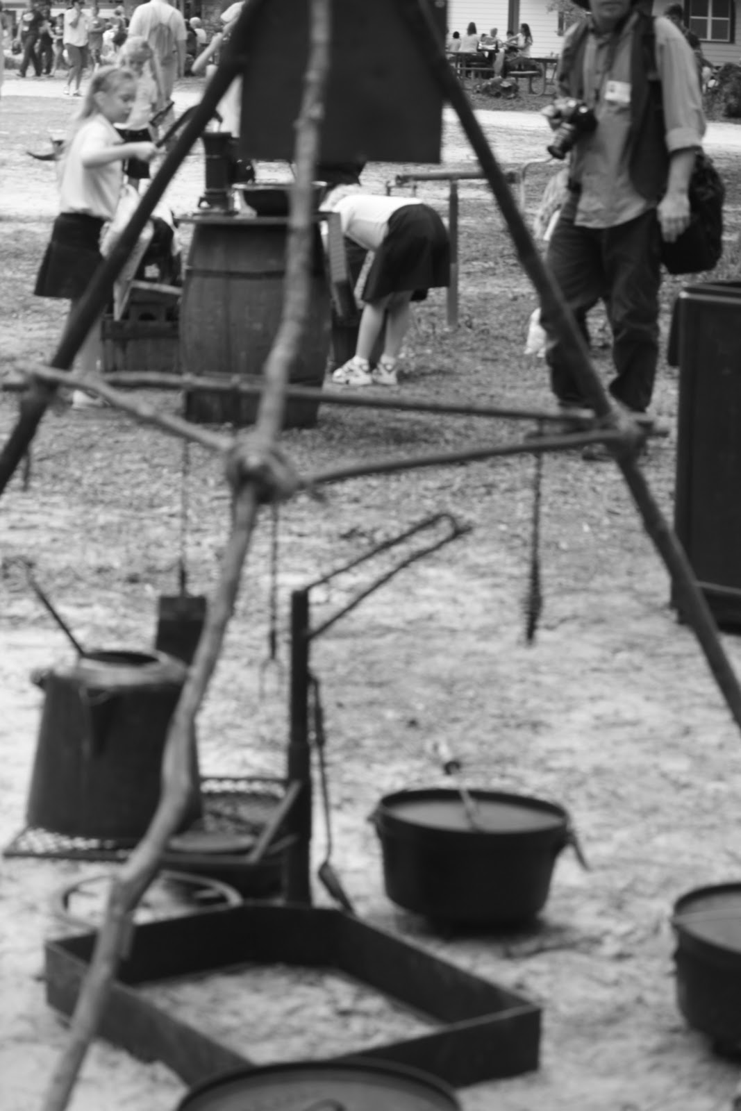 The Blue Whale and Other Travel Tales: Ocali Days at Silver River ...