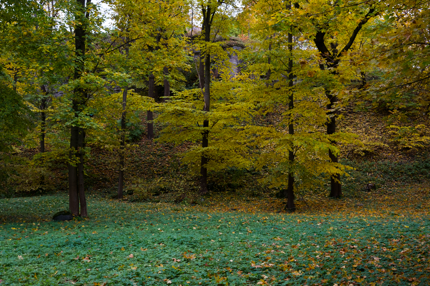 Hello Talalay: The Golden Time Of Fall In Estonia